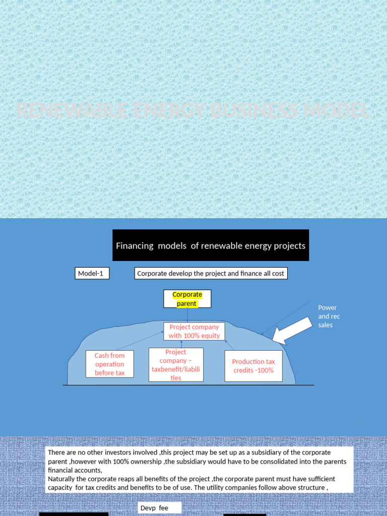 Renewable Energy Business Model | PDF