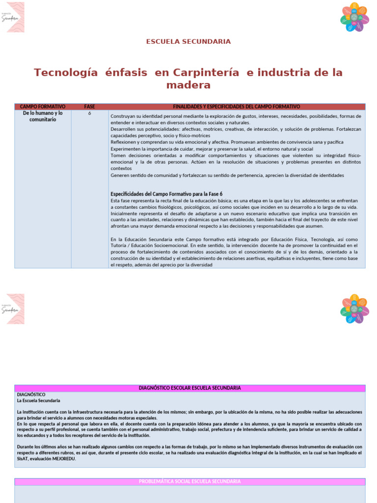 Programa Analitico Carpinteria 123 Nem 2023 | PDF
