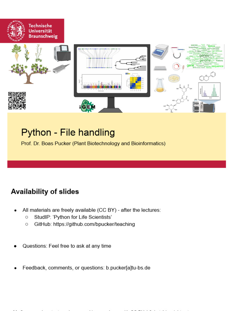 Python 4 FileHandling | PDF