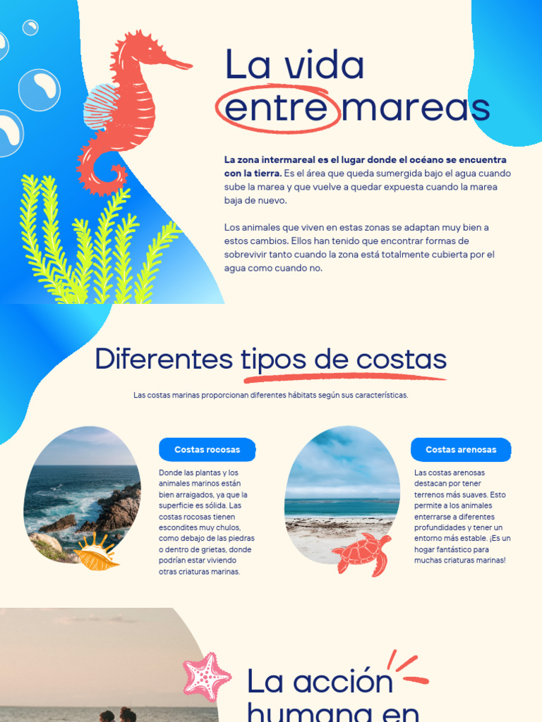 El Proyecto Océano Una Guía Del Océano para Jóvenes Lección 2.2 - Conexiones Costeras Con El ...