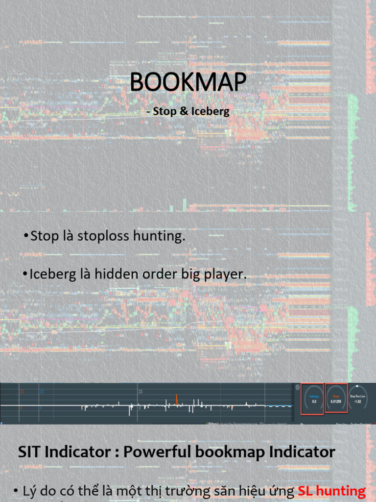 TDtute GO Bookmap SIT Indicator Final | PDF