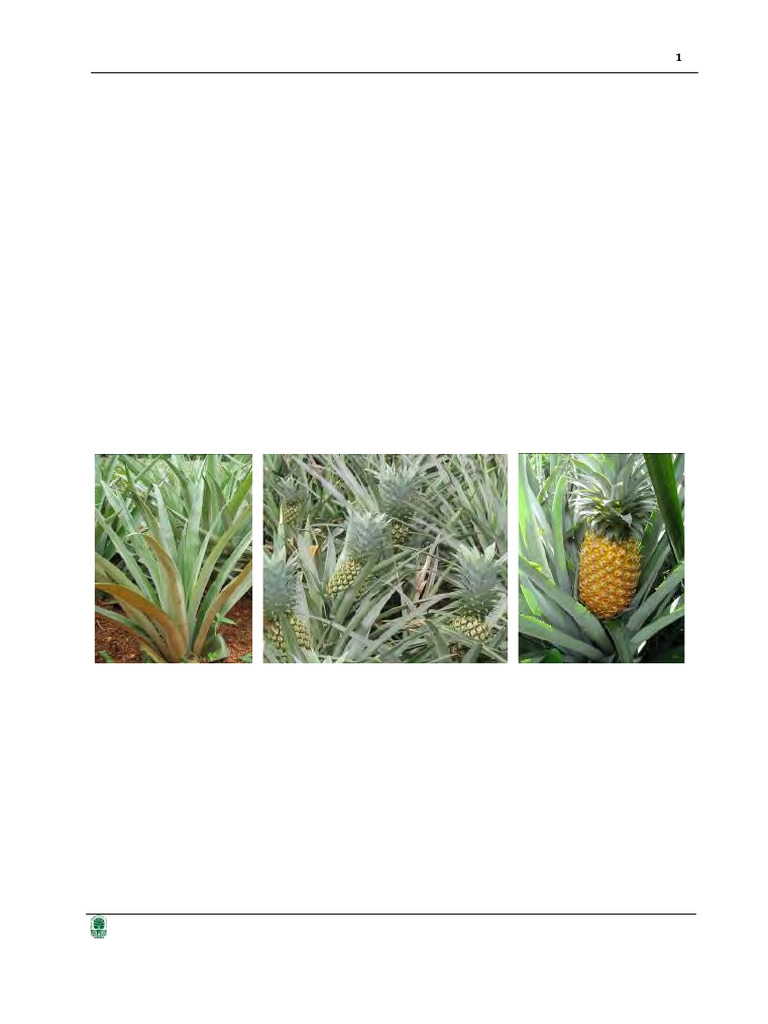 Pests of Pineapple and Thier Management | PDF