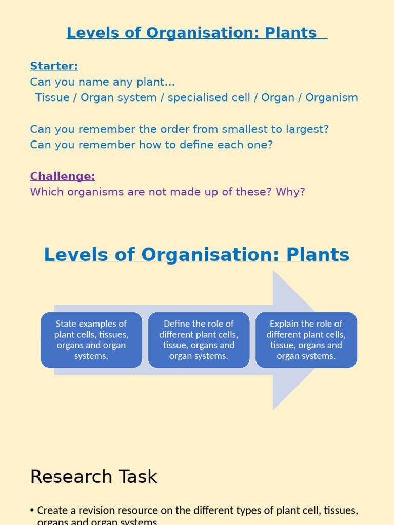 Lesson 5 - Levels of Organisation Plant | PDF