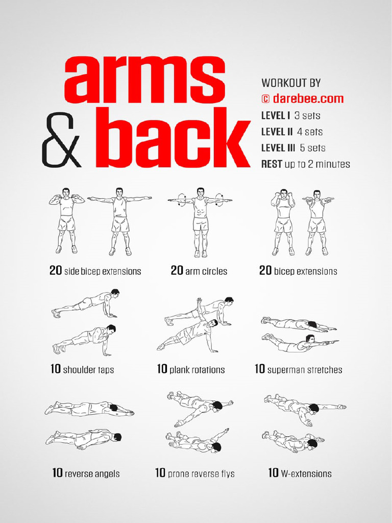 arms-and-back-workout | PDF