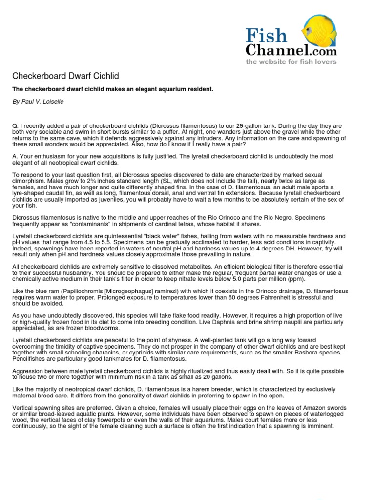 Checkerboard Dwarf Cichlid | PDF | Spawn (Biology) | Fish