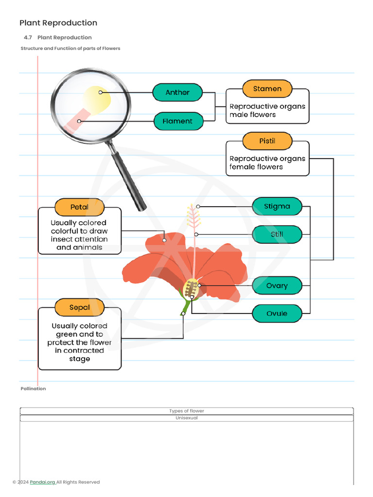 Plant Reproduction | PDF