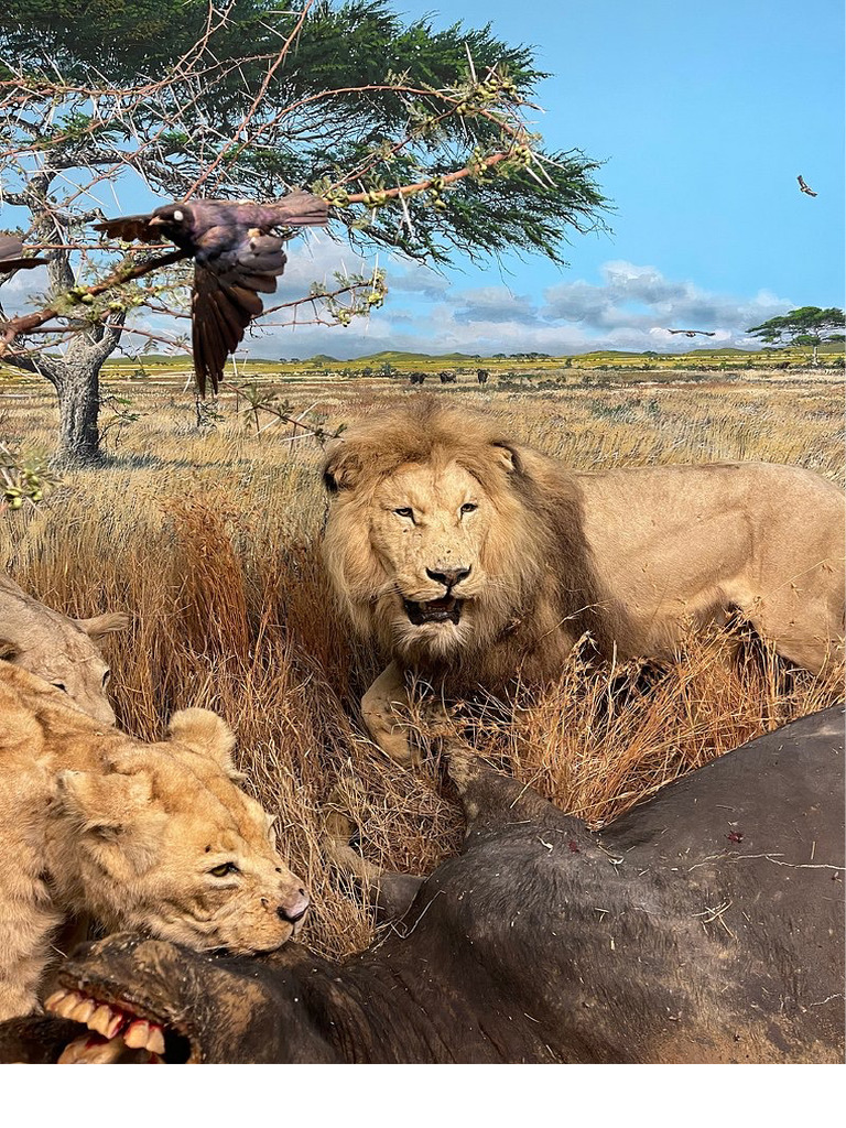 WEEK 3 PRINTING | PDF