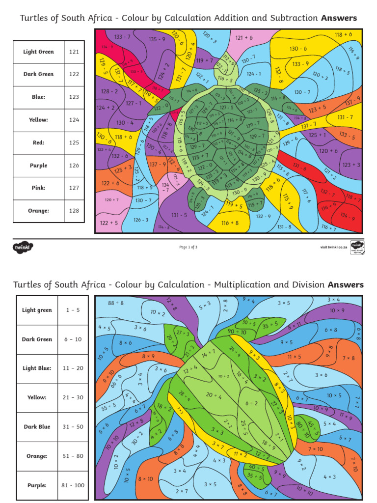 Turtles of South Africa - Colour by Calculation - Answers | PDF | Color ...