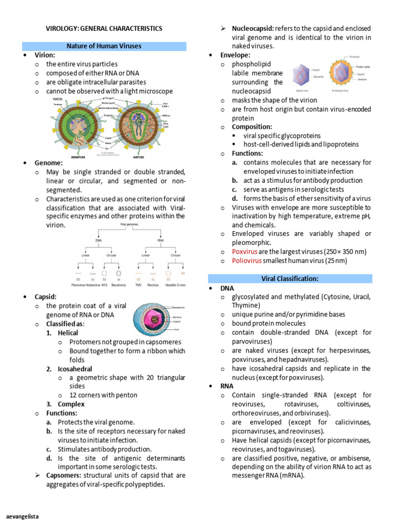 1-VIROLOGY | PDF