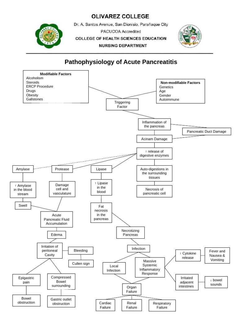 Pathophysiology of Acute Pancreatitis | PDF