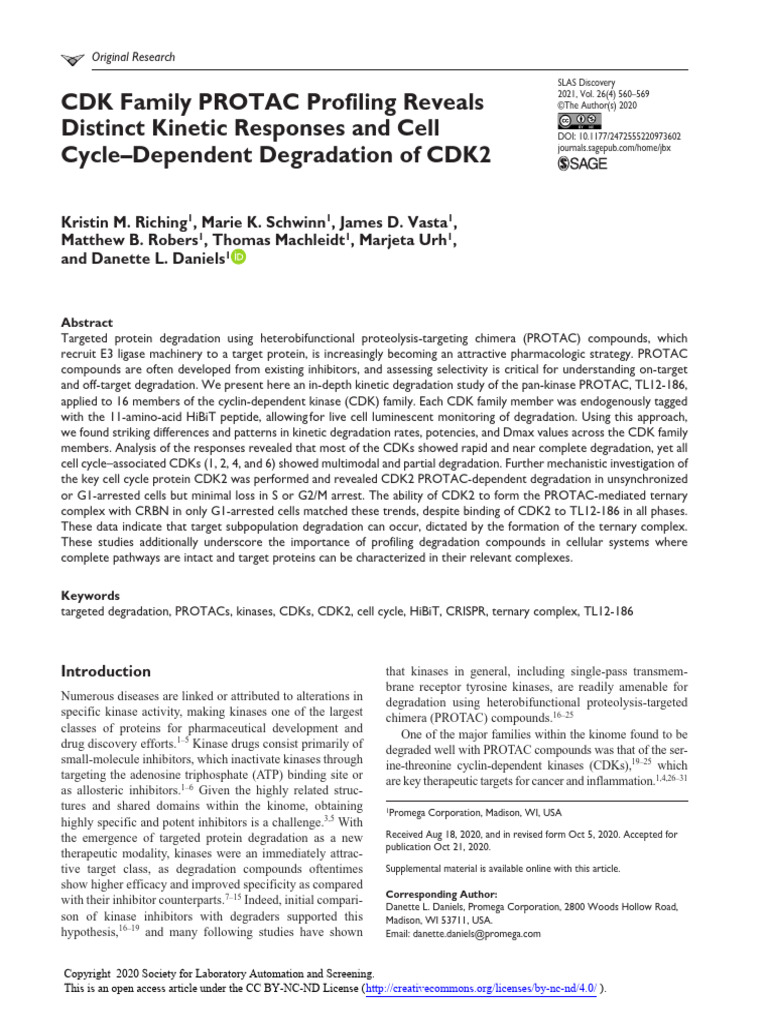 CDK Family PROTAC Profiling Reveals Distinct Kinetic Responses and Cell ...