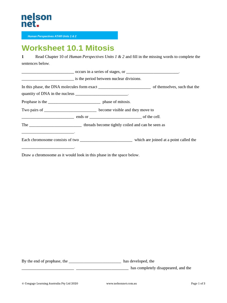 Mitosis Worksheet - Chapter 10 | PDF | Mitosis | Systems Biology