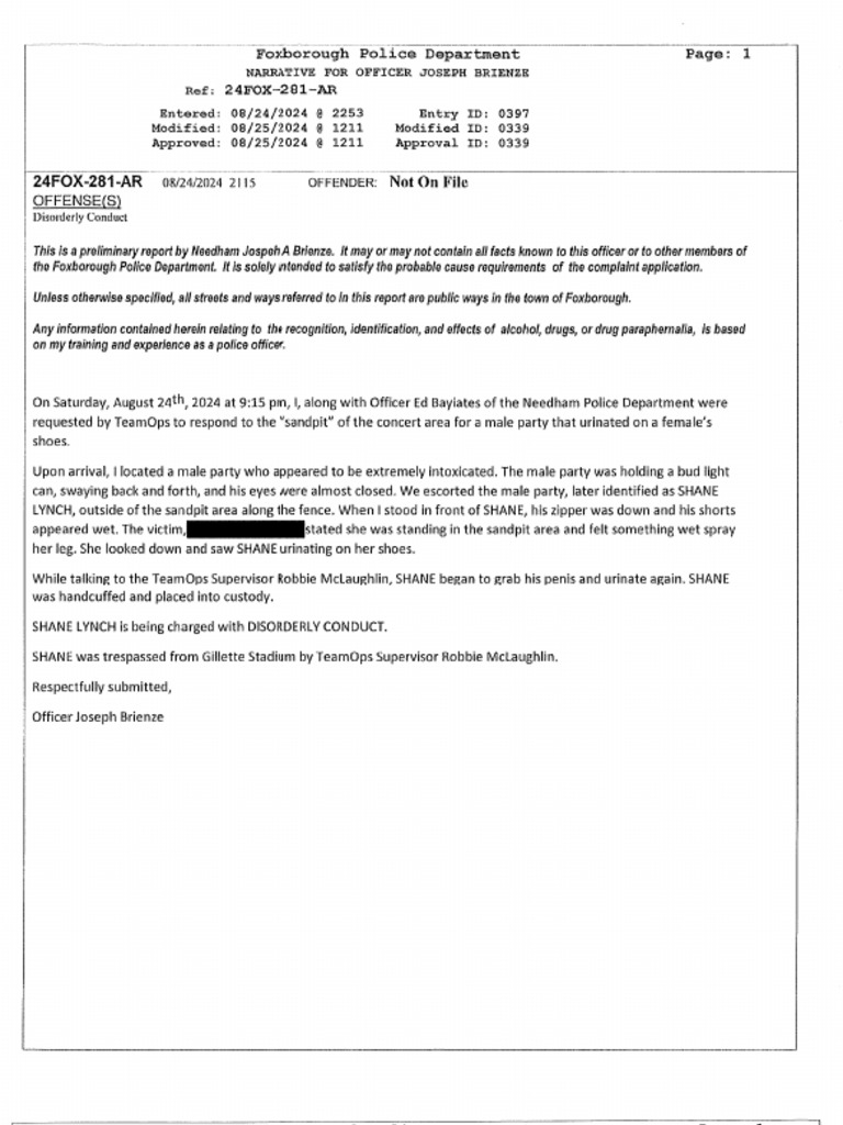 Shane Lynch Arrest Report | PDF