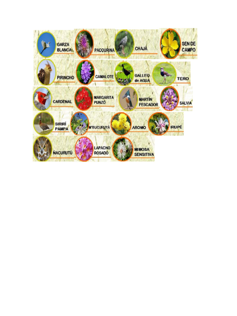 Material Flora y Fauna | PDF