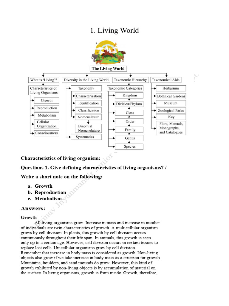 Living World | PDF
