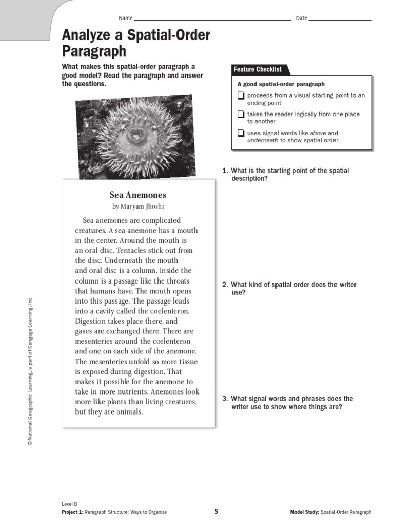 5. Writer%27s Workout - Analyze Spatial-Order Paragraph p5 | PDF