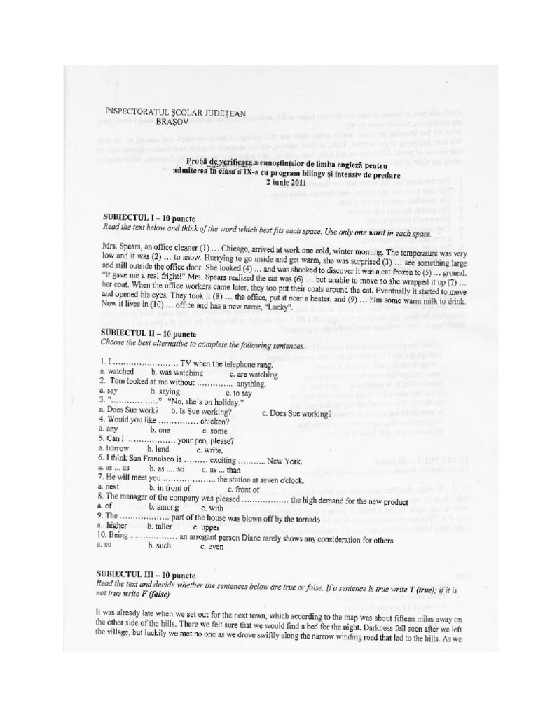 Subiecte Scris Engleza | PDF