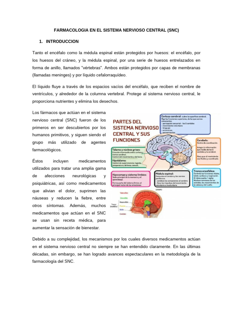 FARMACOLOGIA EN EL SISTEMA NERVIOSO CENTRAL | PDF