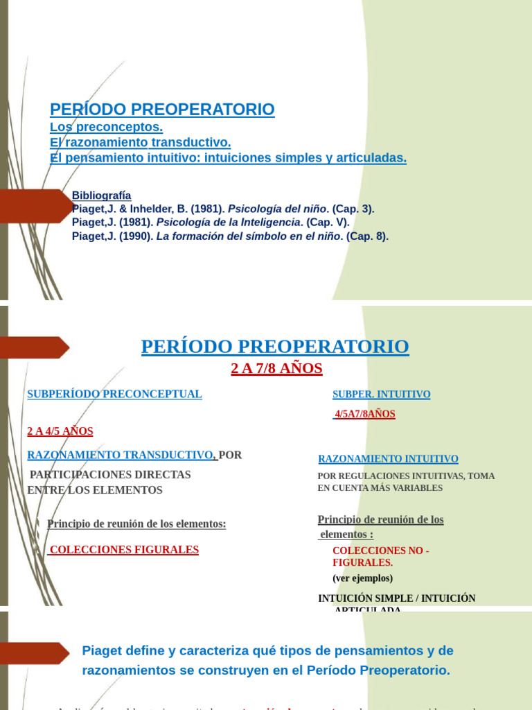 Período Preoperatorio. de Mayo 2024 | PDF