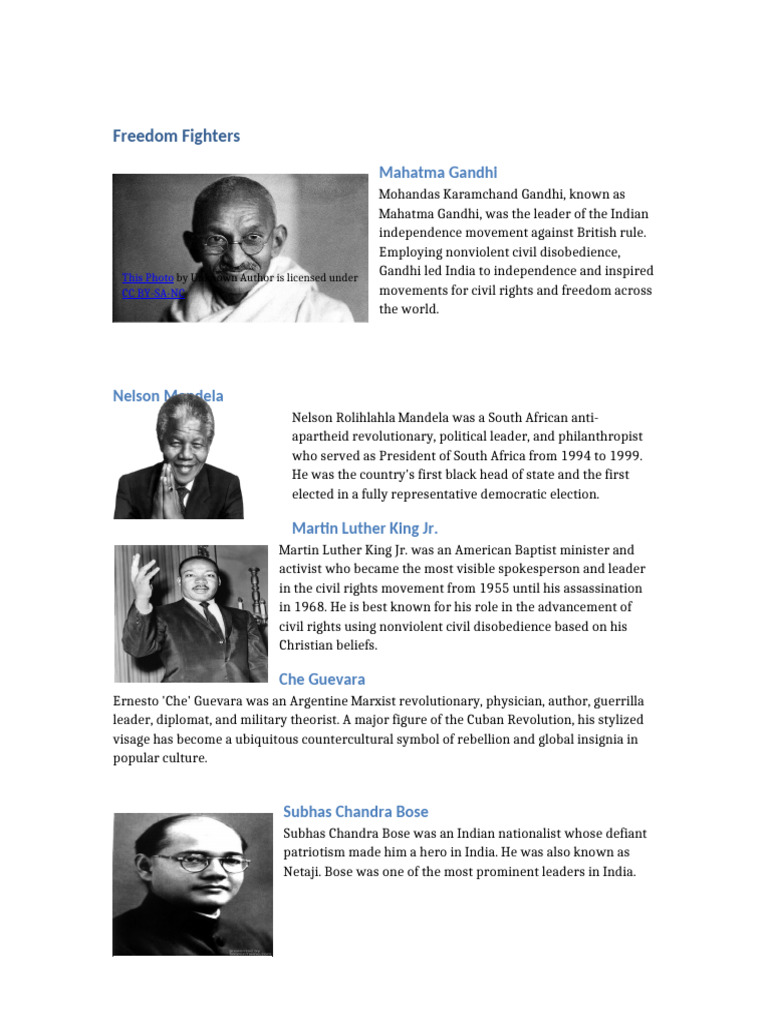 Freedom Fighters | PDF
