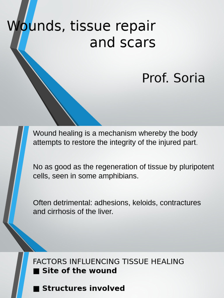 Wounds, Tissue Repair | PDF