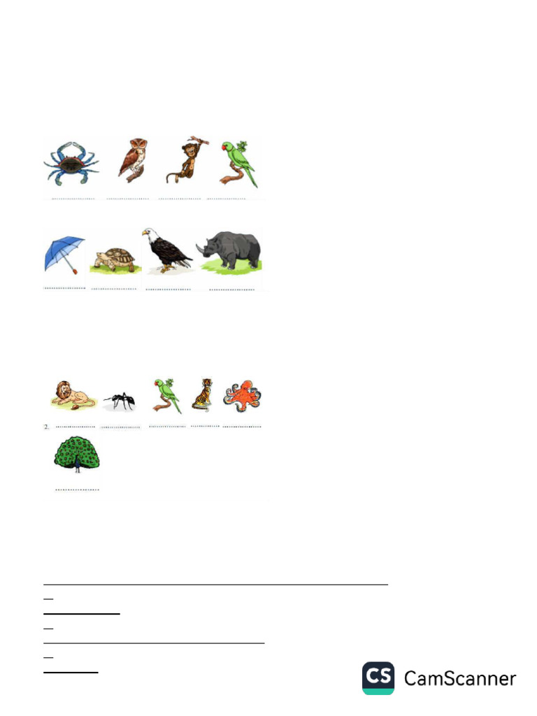 Unit 1 2 Pdf