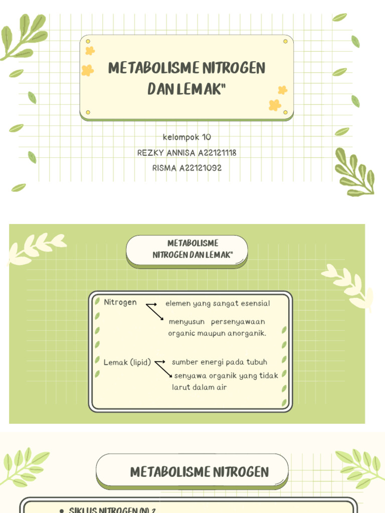 KLP 10 Metabolisme Nitrogen Dan Lemak | PDF