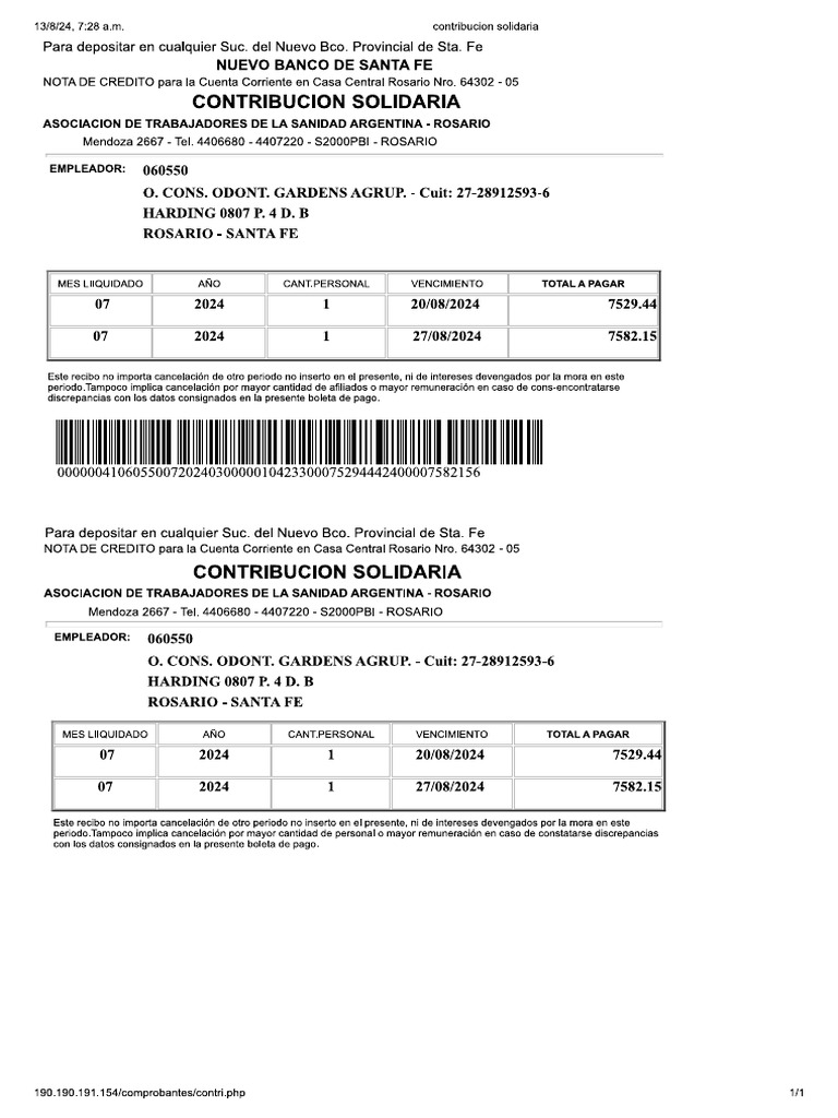 Boletas Sindicato 072024 Consultorio | PDF