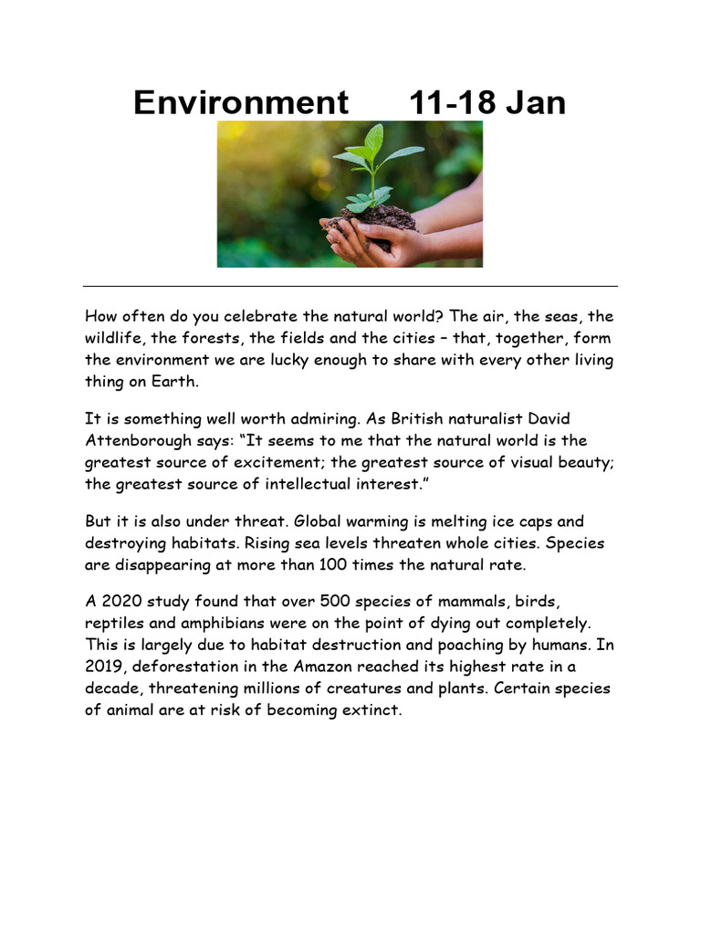 Environment+Sheet+Yr6 | PDF