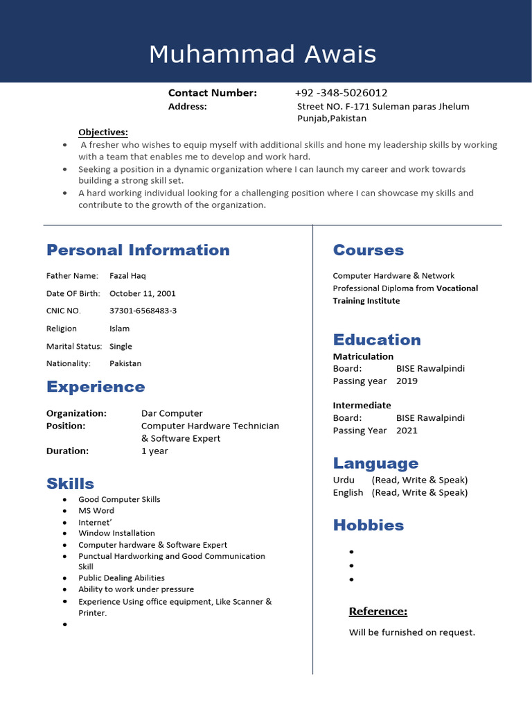 Awais CV | PDF
