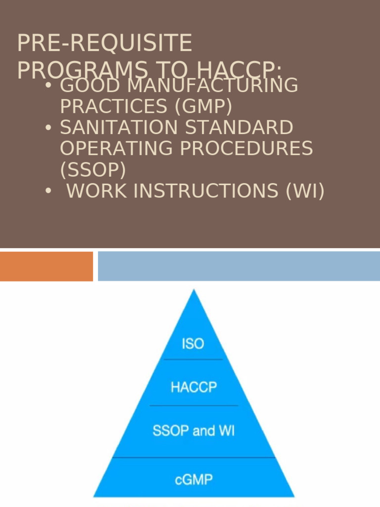 Lesson 4 - GMP 2 | PDF