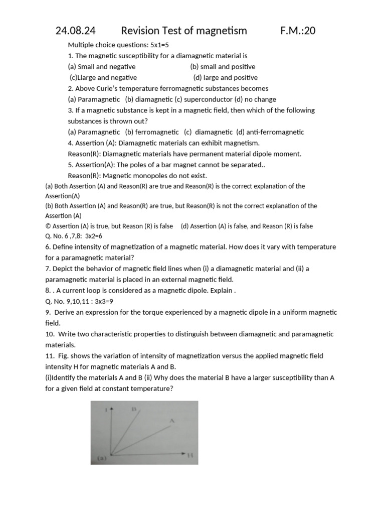 Revision Test of Magnetism | PDF
