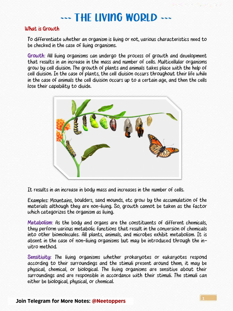 1.living World | PDF