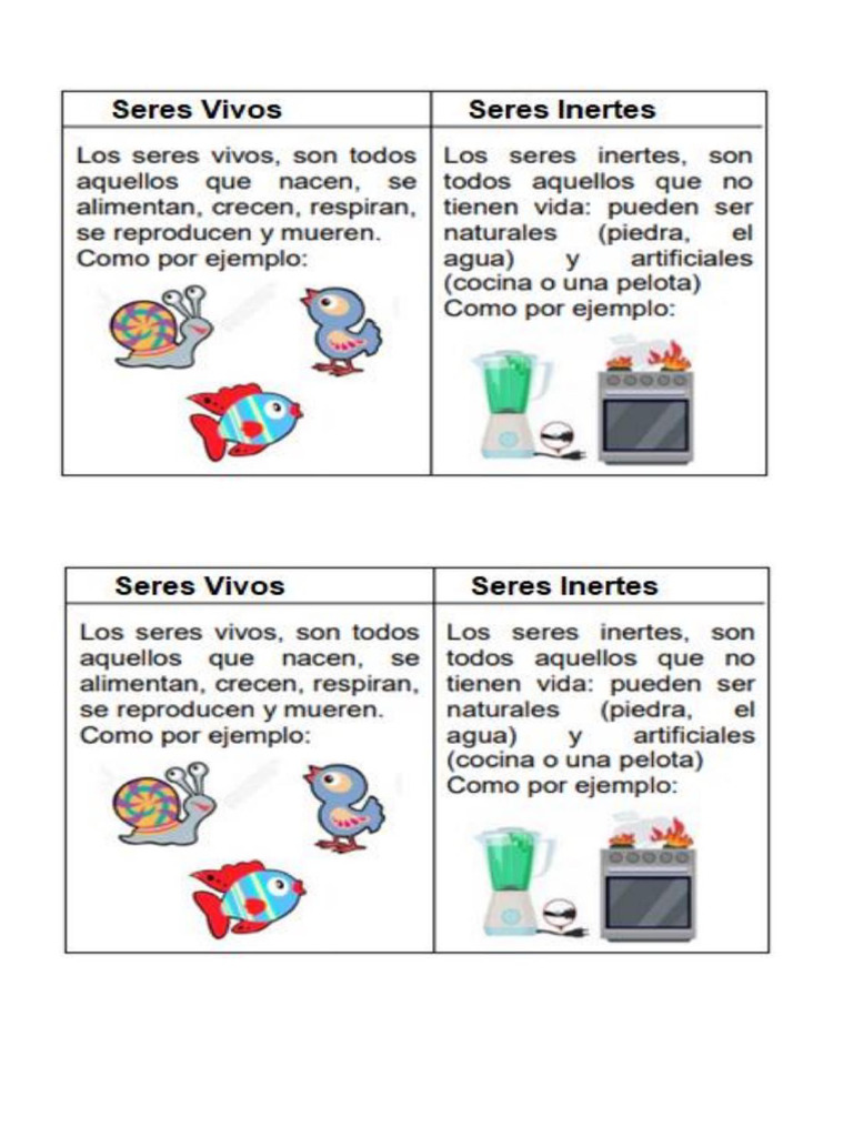 Seres Vivos e Inertes | PDF