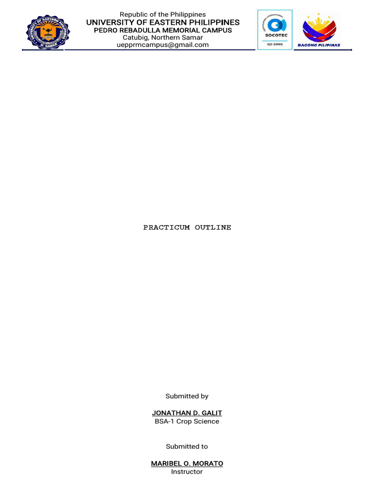 Outline in Practicum | PDF