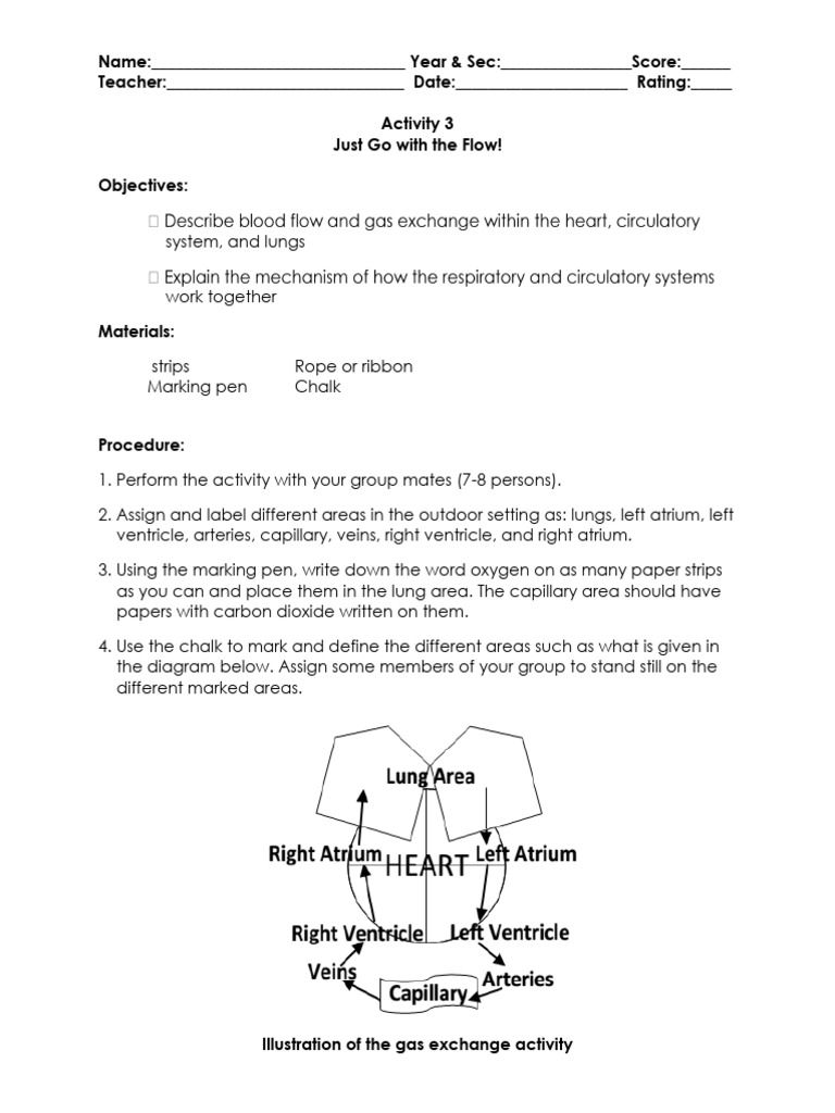 Circulatory System Activities | PDF | Heart Rate | Career & Growth