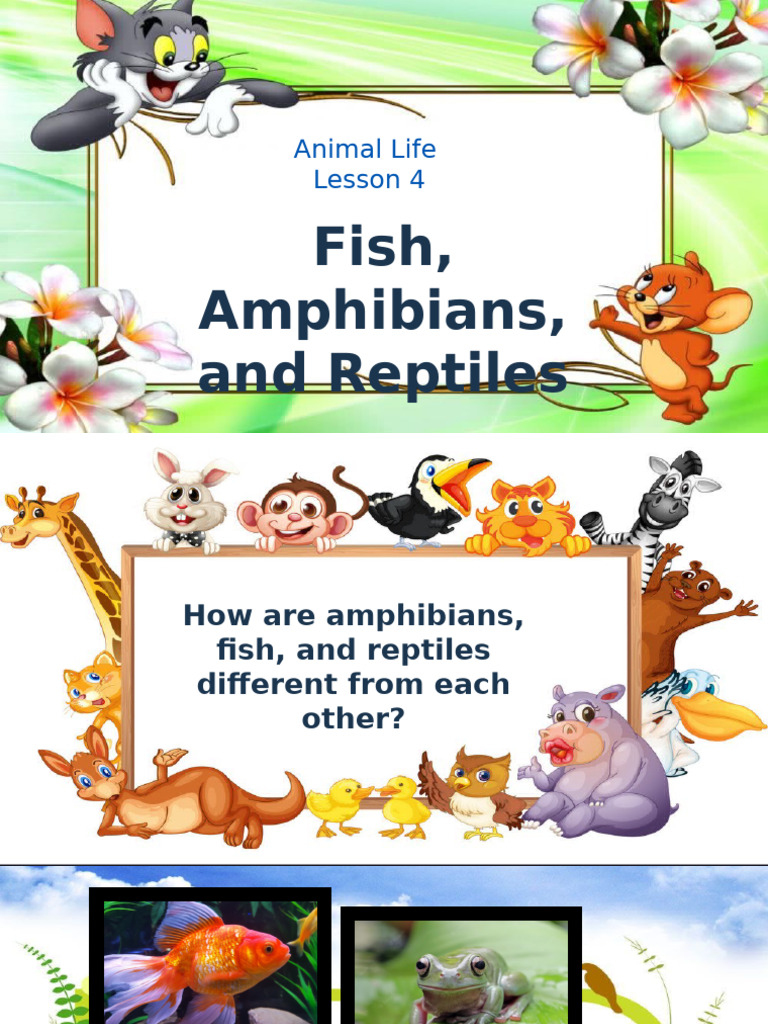 Grade 3 Fish Amphibs and Reps | PDF