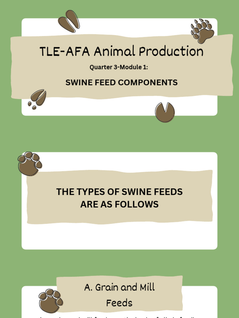 Colourful Observe and Compare Traits in Animals Science Activity | PDF