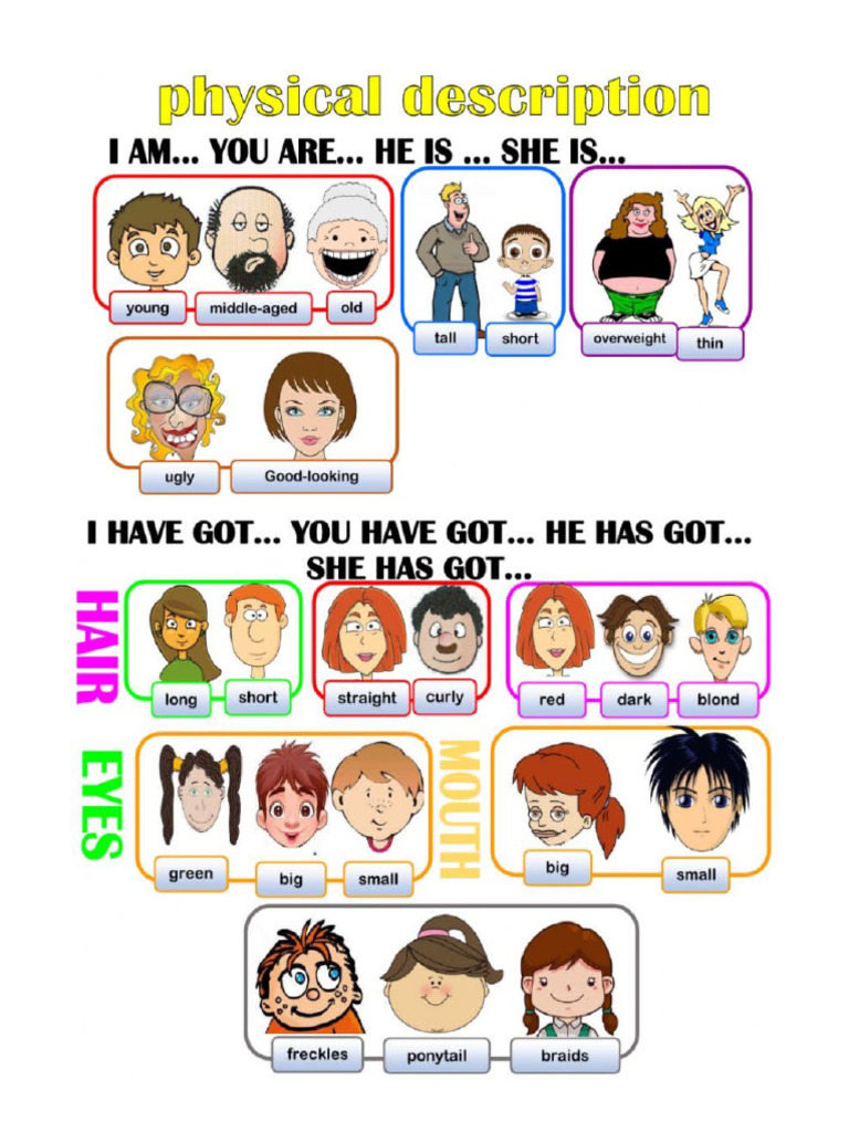 Adjectives - Physical Description | PDF