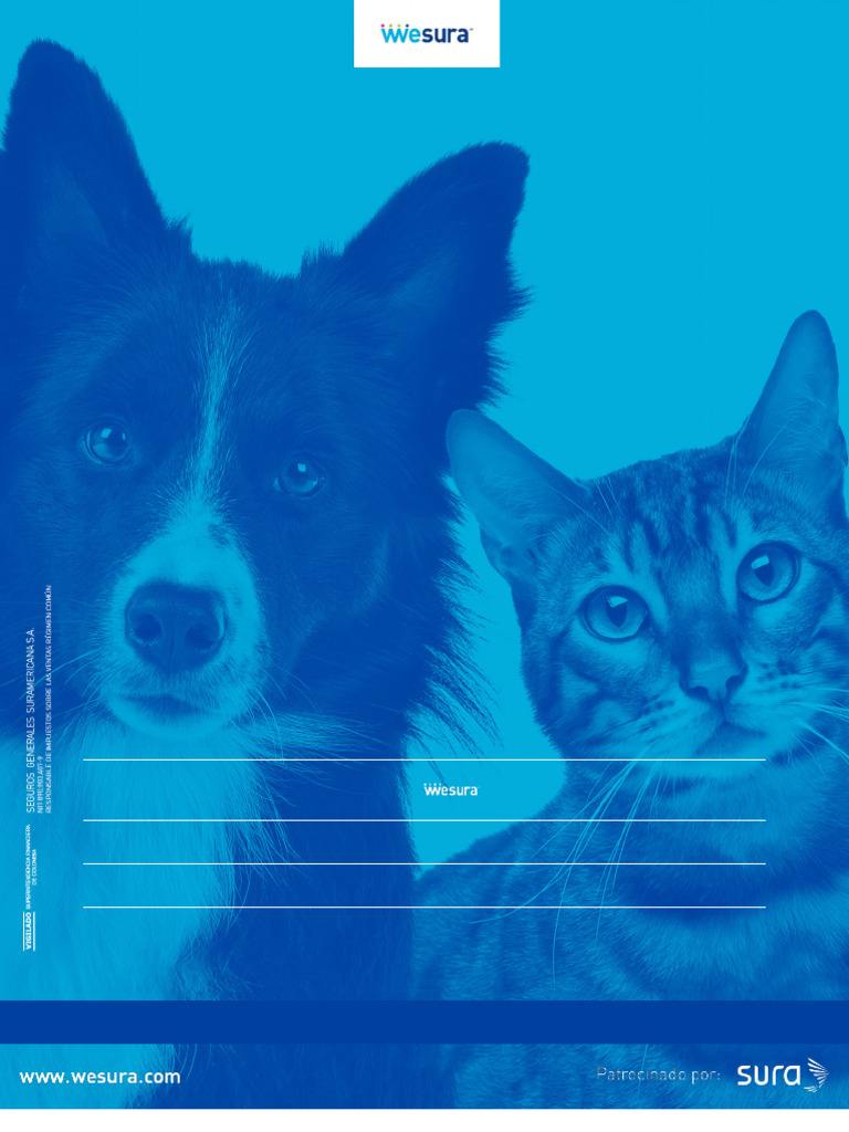 Caratula Clausulado | PDF