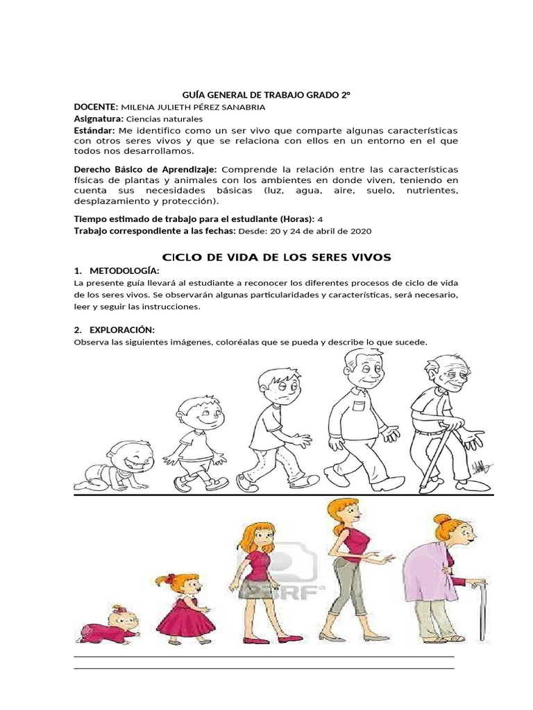 Ciclo Vital de los Seres Vivos | PDF | Plantas | Hogar, jardinería y ...