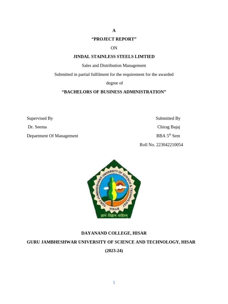 Chirag's Report | PDF