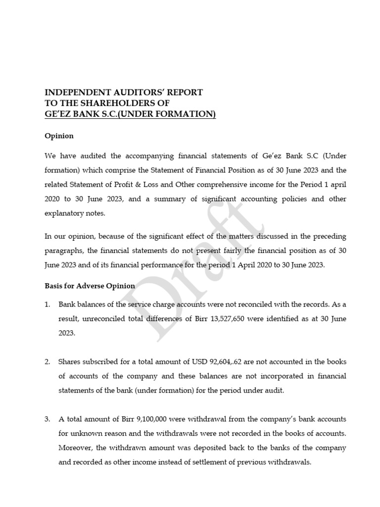 Draft Audit - Reportgeez | PDF