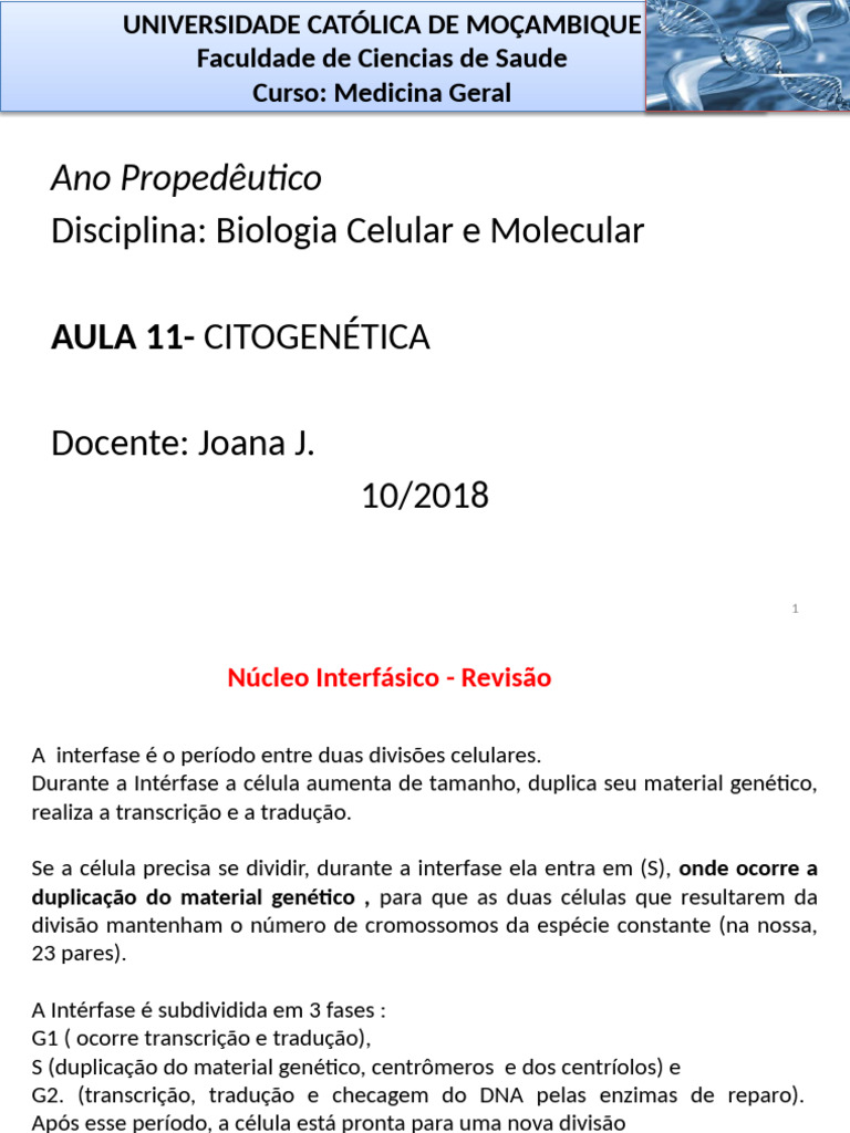 Aula NR 11 - Citogenetica - 2018 | PDF