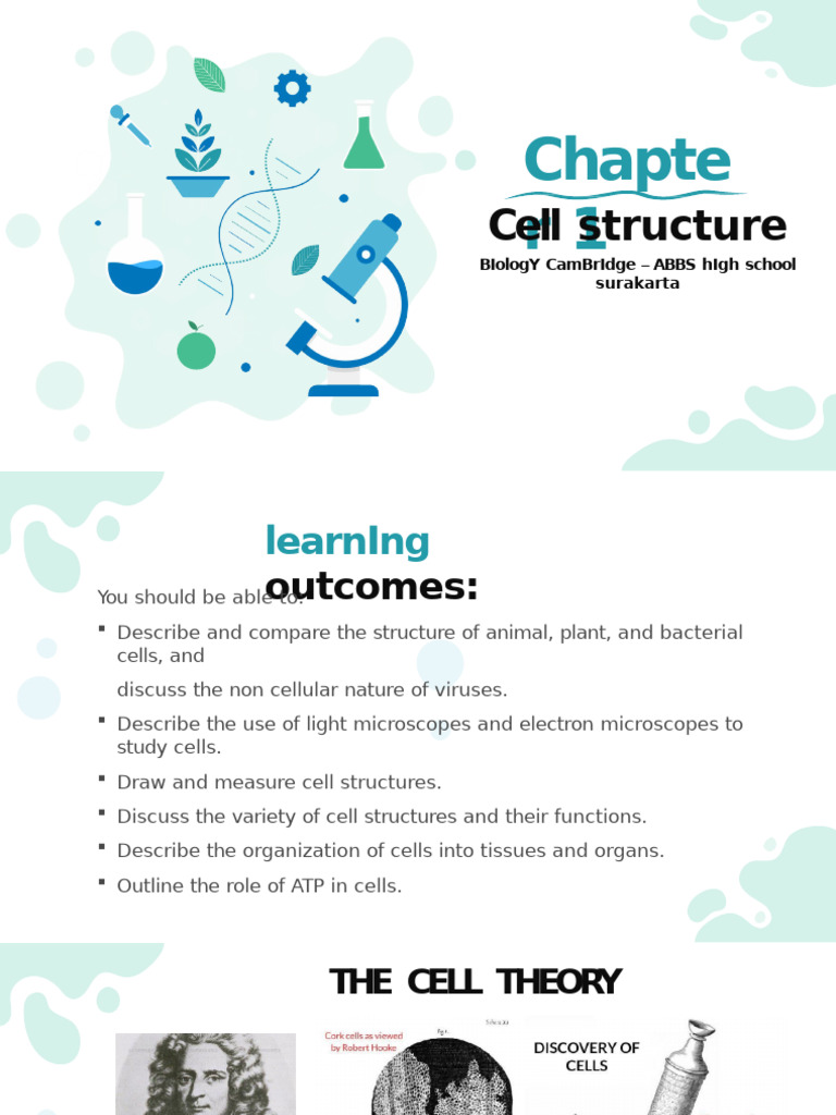 Chapter 1 Cell Structure - Bio Cambridge | PDF | Endoplasmic Reticulum ...