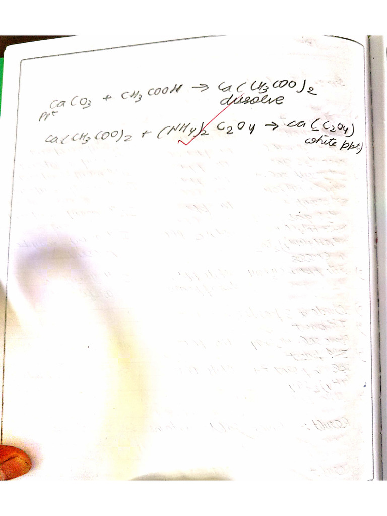 Calcium | PDF