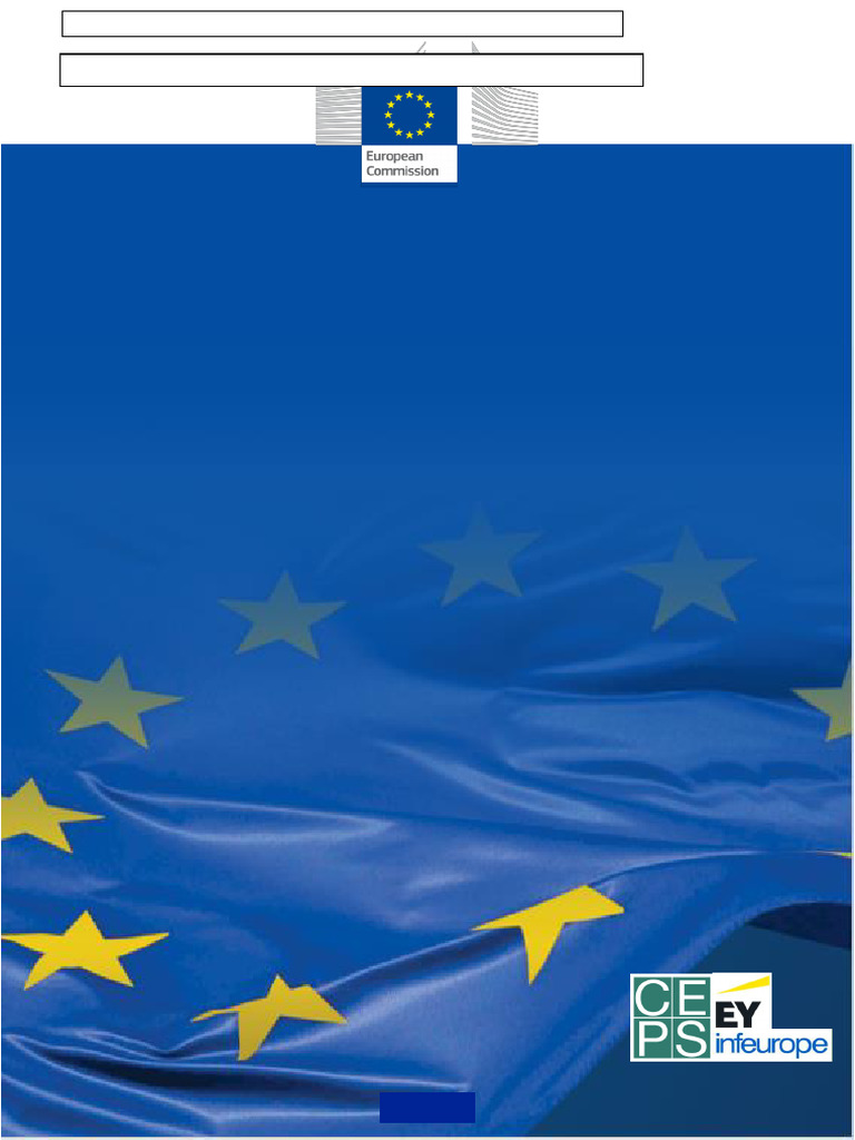 Feasibility Study For A European Asset Registry | PDF