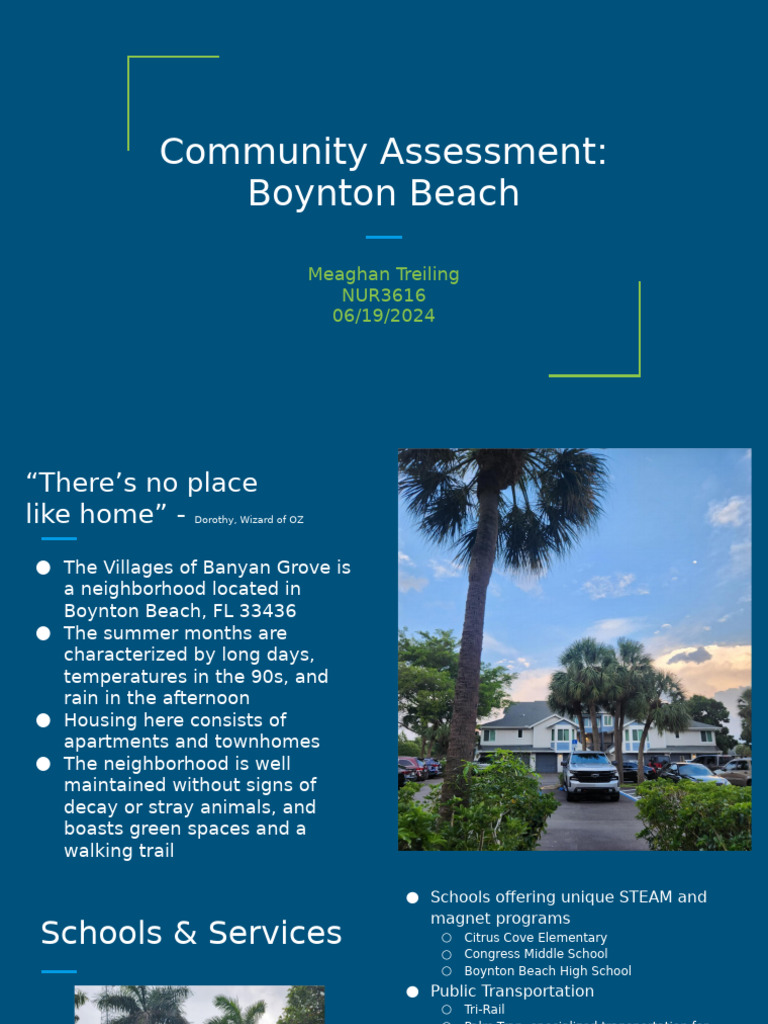 Community Assessment pt4 | PDF