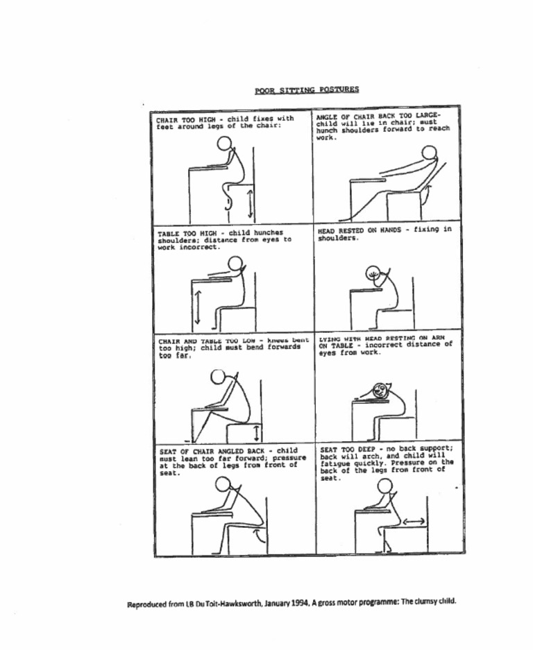 Physiotherapy: Seating | PDF