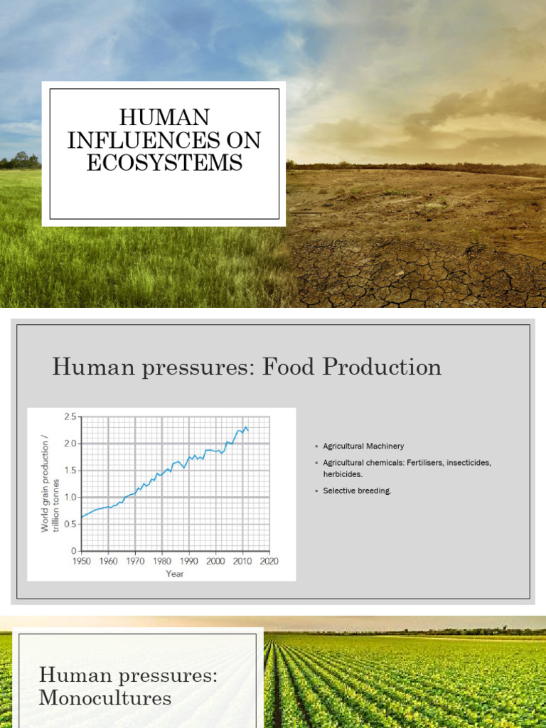 Human Influences on Ecosystems | PDF